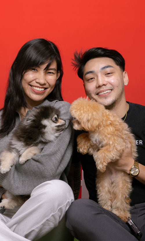 Pet Studio – Zootopia Animal Wellness Center