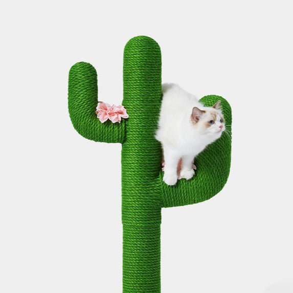 Oasis Cactus Cat Tree – Zootopia Animal Wellness Center